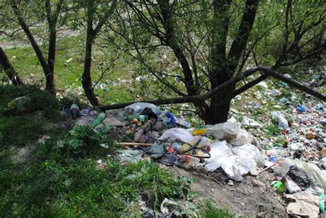 გარემოს დაბინძურება ფოტო