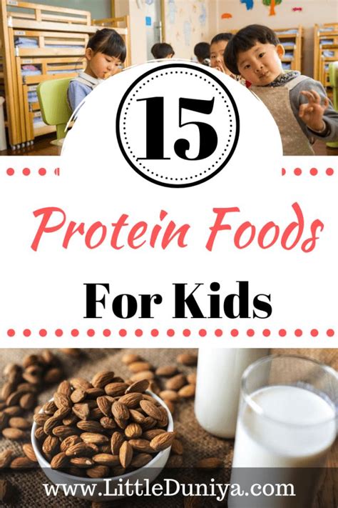 Best Vegetarian Protein Source - 15 Foods Recommended For Kids | Little ...