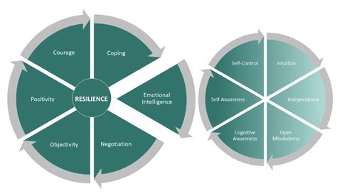 Emotional Intelligence Spark Principles™ For Success