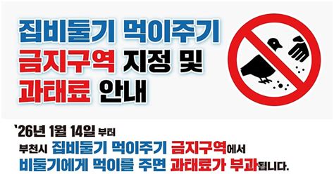 부천시 비둘기 먹이 주기 금지구역 지정…과태료 최대 100만원