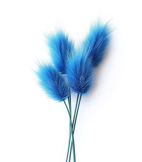 Images Capturing Blue Grama Grass Wheat And Triticale Plants Stock