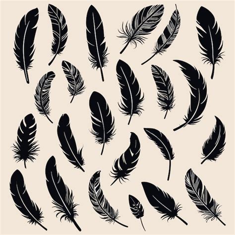 Conjunto De Silhueta De Penas Ilustra O Cole O De Vetores De Pena Vetor Premium