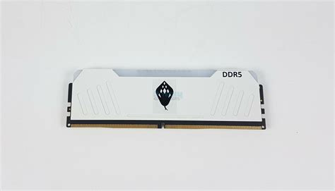 Anacomda Et Rgb 32gb Ddr5 7200 Cl34 Kit Review Tech4gamers