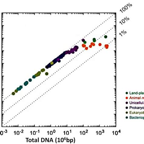 Correlation Between Coding DNA And Total DNA In Various Species Download Scientific Diagram