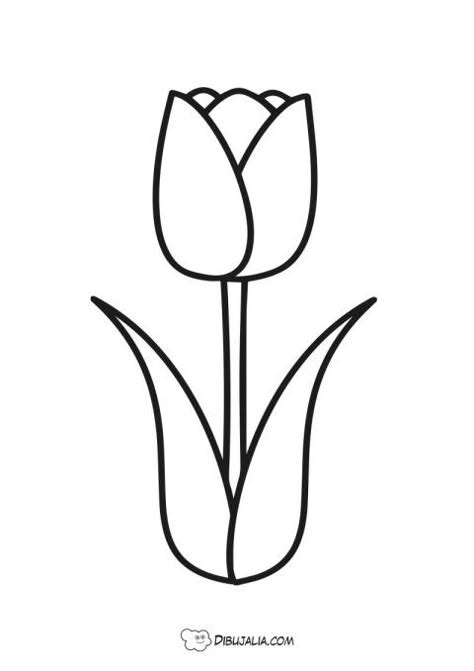 Dibujos De Tulipanes A Lapiz Faciles