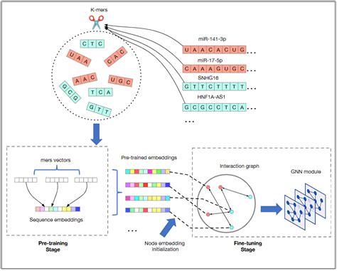 Github Zixwangspgnn A Novel Graph Based Pre Training Scheme Namely