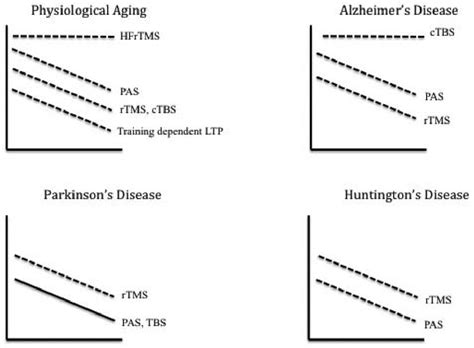 Schematic Representation Of Tms Induced Cortical Plasticity In Download Scientific Diagram