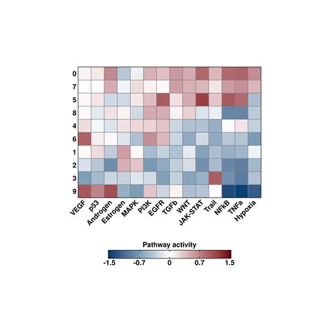 Scpubr 25 Pathway Activity Inference Analysis