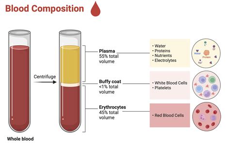Characteristics Of Blood Plasma