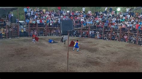 Jinete Es Sacudido Por Toro Tigriado Bravo En Toreada Fetralan 2023 Youtube