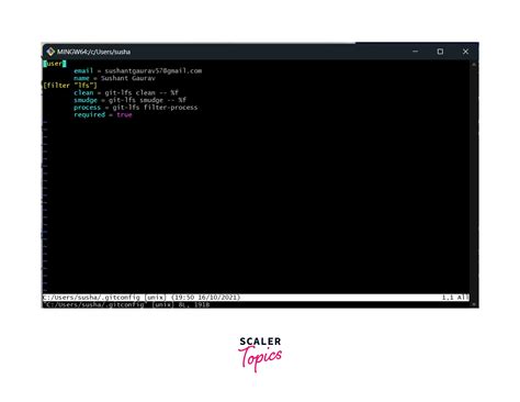 Git Config Command Scaler Topics