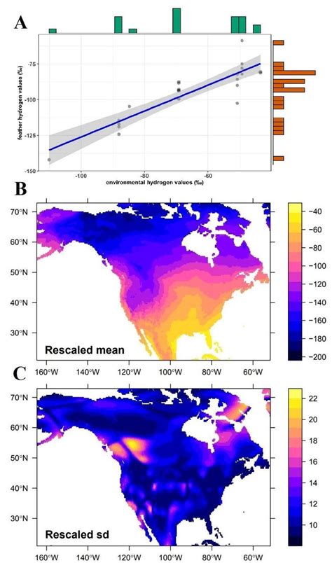 Linear Regression Model Between Environmental Precipitation Isotope