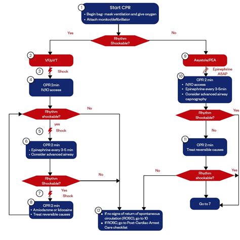 Pediatric Cardiac Arrest Algorithm Cpr Vam