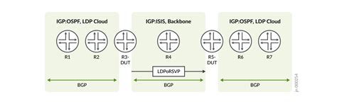示例为 LDP 信号 LSP 配置 MPLS TTL 传播 Junos OS Juniper Networks
