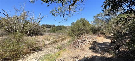Rose Canyon Loop California 478 Reviews Map Alltrails