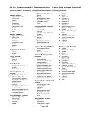 Learn Human Anatomy Appendicular Skeleton And Upper Appendage Course Hero