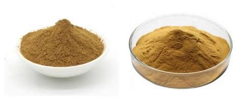 Fucoxanthin Benefits And Side Effects Rebecca