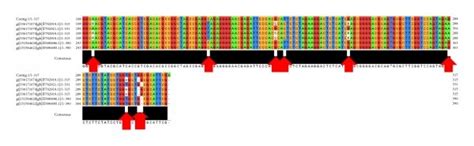 The Multiple Sequences Alignments And Trees Of Vim Gene In Different Download Scientific