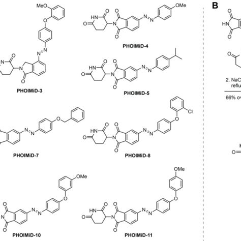 Design And Synthesis Of Phoimids A Lenalidomide And Pomalidomide Download Scientific Diagram