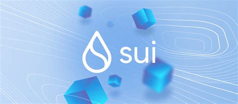 what is the sui blockchain pixelplex s complete guide