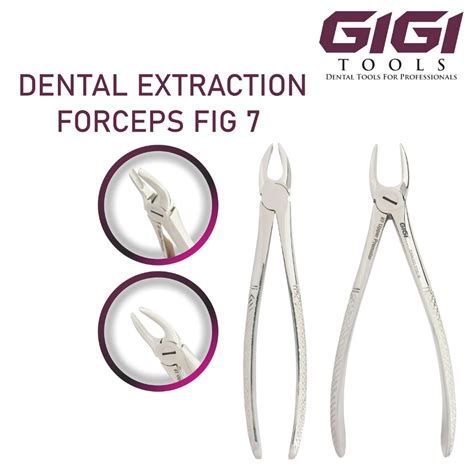Gigi Tools Upper Premolar Tooth Extracting Forceps Fig 7 Adult Forceps For Professional Dentists