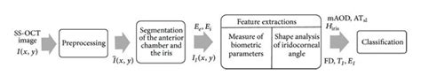 Overview Of The Automatic Classification System For Open Angle And