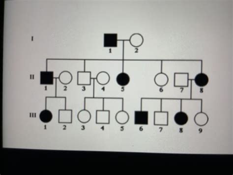 Third Exam Flashcards Quizlet Third Exam Flashcards Quizlet