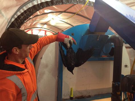 In Vessel Composting System Is Put Through Its Paces And Performs Well Xact Systems Composting