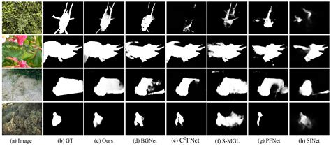 Camouflaged Object Detection That Does Not Require Additional Priors