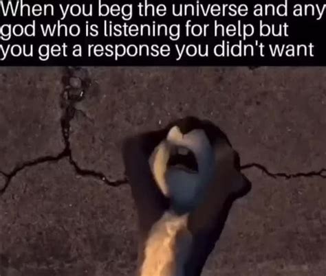Begging The Universe Meme By Mafiadax Memedroid