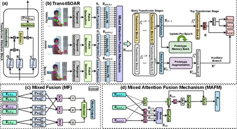Figure 1 From Delving Deep Into One Shot Skeleton Based Action Recognition With Diverse