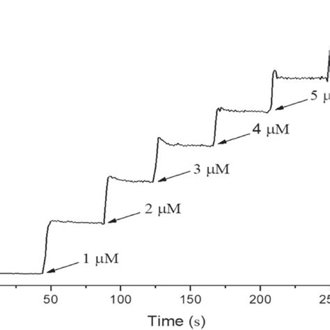 Fe S Tio2 Nanotube Amperometric Response On Addition Of 1 μm Increments