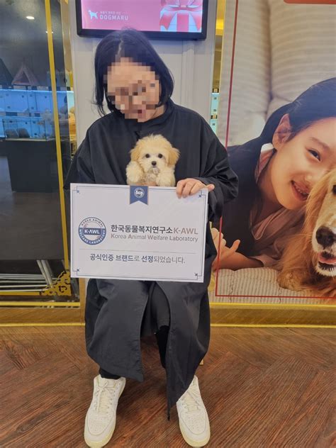 말티푸 제니 말티즈분양가격 말티푸분양가격 비숑프리제분양가격 미니비숑프리제분양가격 포메라니안분양가격 푸들분양가격 토이푸들분양가격 골든리트리버분양가격 래브라도리트리버분양가격