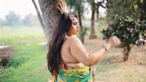 Desi Saree Fashion Beauty