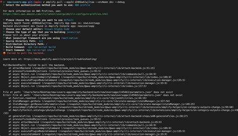 Failed To Pull The Backend · Issue 12283 · Aws Amplifyamplify Cli