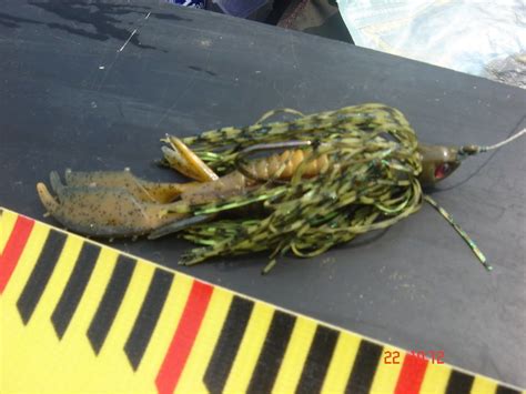 15 Pig And Jig Bass Fishing Background Bukan Blog Luar Biasa