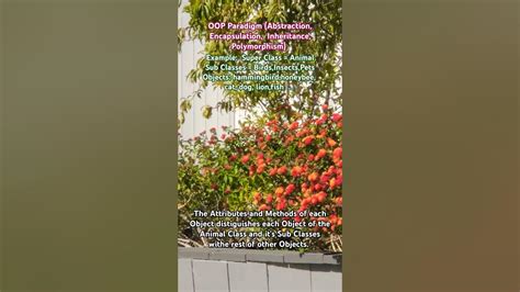 Oop Paradigm Abstraction Encapsulation Inheritance Polymorphism Youtube