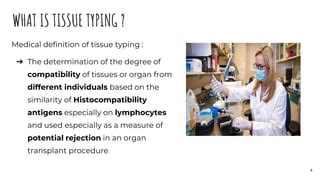 Tissue Typing Pptx