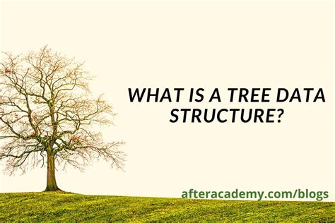 What Is A Tree Data Structure
