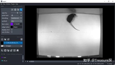 AI动物姿态追踪DeepLabCut 知乎