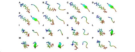 The Protein Blocks Structural Alphabet The Conformation Of Each 16 Download Scientific