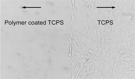 Ultra Low Fouling And Functionalizable Surface Chemistry Based On