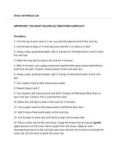 Title Microscope Lab