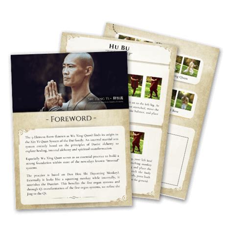 Wu Xing Quan 5 Element Fist Kung Fu Form Shaolin Online