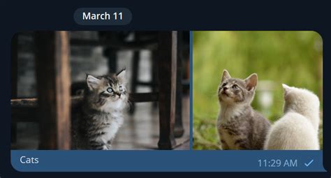 Telegram Api How Can I Distinguish Album Or Grouped Photos In Python Stack Overflow