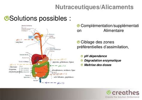 l encapsulation et ses applications