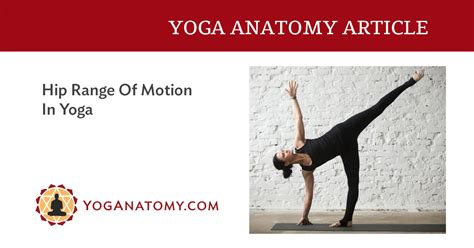 Hip Range Of Motion In Yoga Yoganatomy