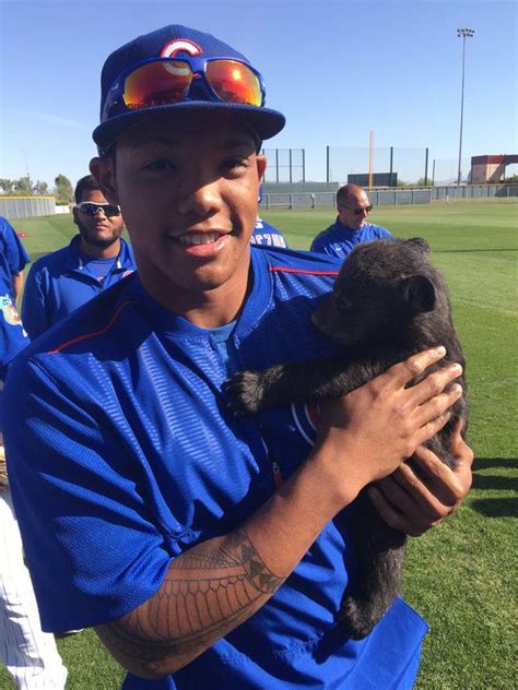 Chicago Cubs Cubs Twitter Mar 25 2016 Big Thank You To Bearzona