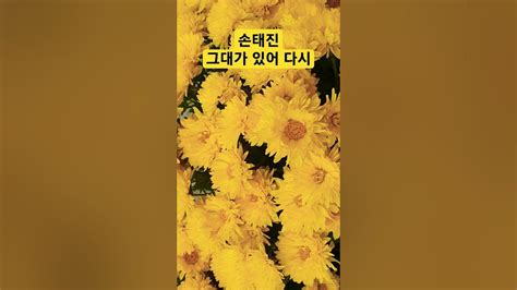 신곡 발표🎁🌷🎵 감동의 목소리 손태진 그대가 있어 다시 🌹아름다운 노래 💜🌹손태진 Shine 트로트 트롯 불타는트롯맨 불타는장미단 한일톱텐쇼 신곡 Youtube