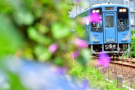 紫陽花が咲く風景天浜線 ⑨ 風をあつめて